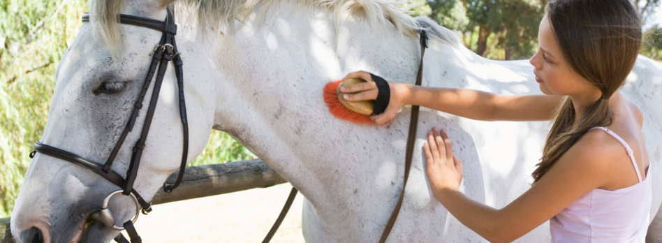 Formations Cheval - EPL Agro de la Meuse